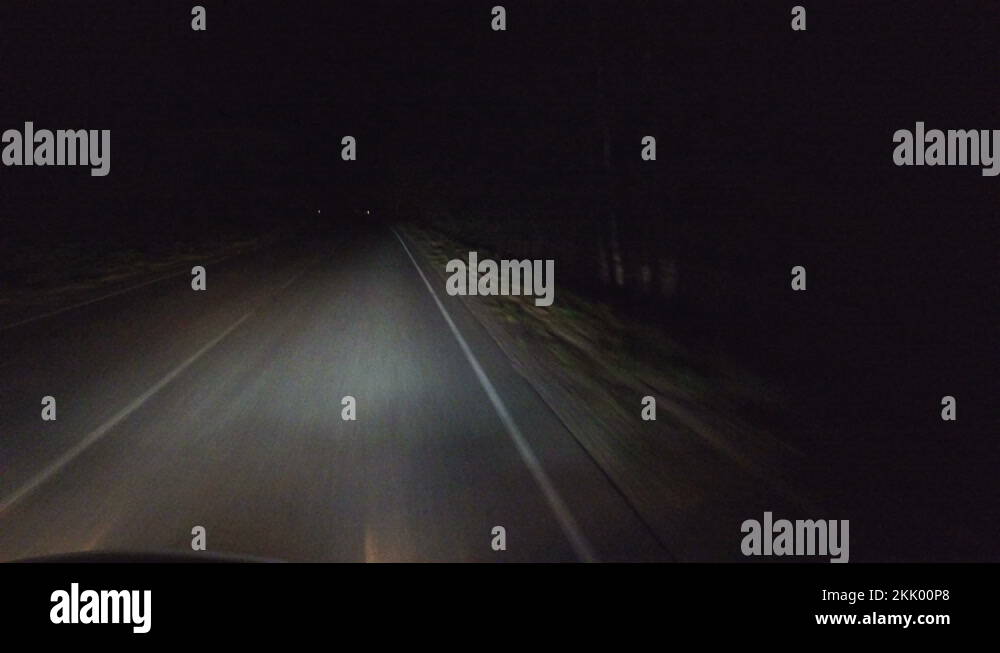 Tunnel forest highway tree road Stock Videos & Footage - HD and 4K ...