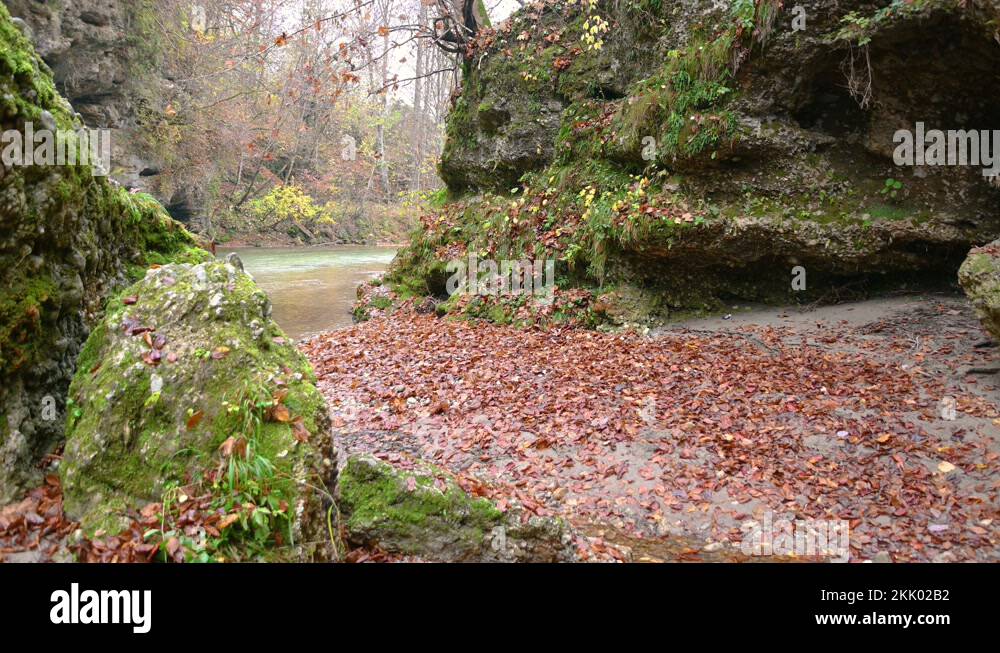 Kokra Stock Videos & Footage - HD and 4K Video Clips - Alamy