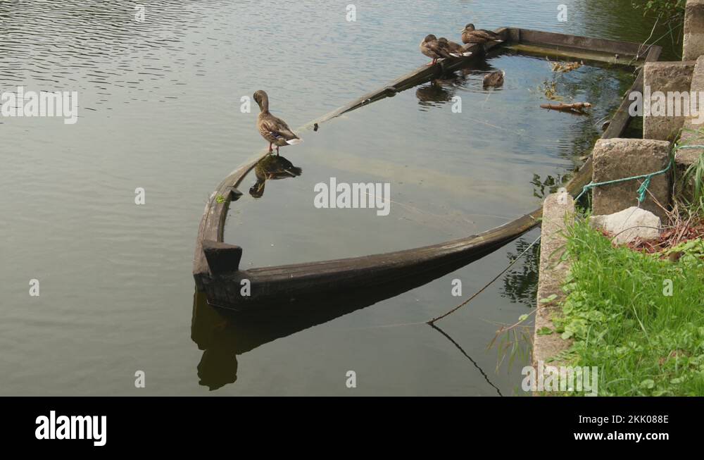 A sunken wooden boat Stock Videos & Footage - HD and 4K Video Clips - Alamy
