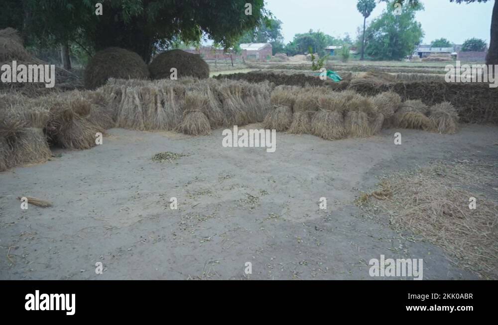 Empty bushel basket Stock Videos & Footage - HD and 4K Video Clips - Alamy