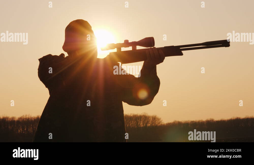 Sight silhouette Stock Videos & Footage - HD and 4K Video Clips - Alamy
