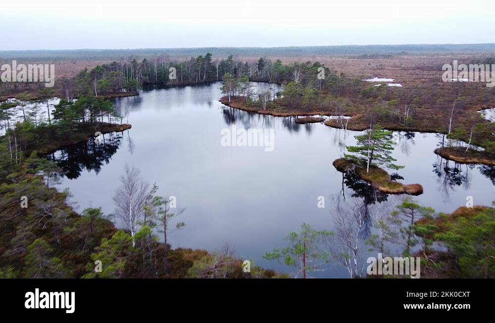 Vegetation and bog ponds Stock Videos & Footage - HD and 4K Video Clips ...