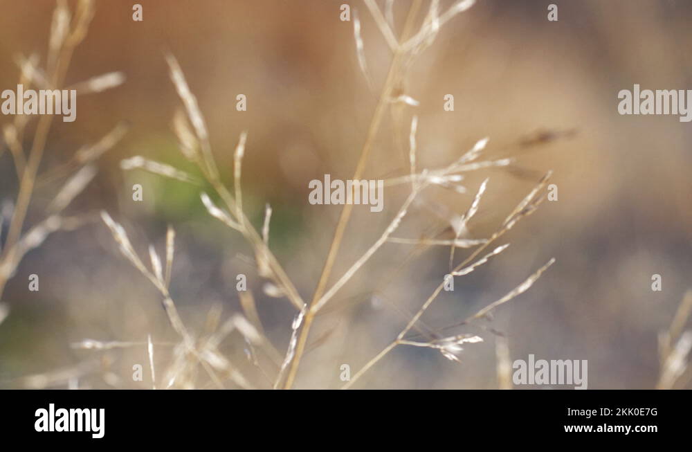 Orbit rack Stock Videos & Footage - HD and 4K Video Clips - Alamy