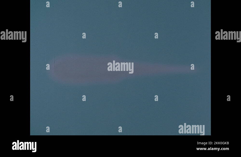 1970s: Diagram of lantern fish camouflage. Man sits at table in lab ...