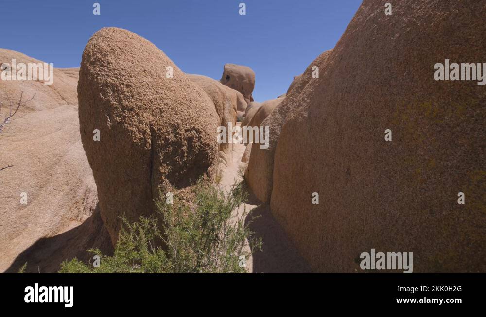 Tree on rock formation Stock Videos & Footage - HD and 4K Video Clips ...