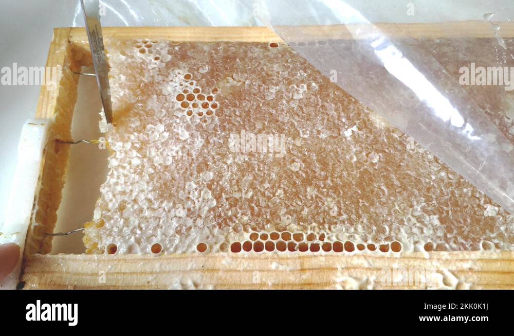 Pretty honey Stock Videos & Footage - HD and 4K Video Clips - Alamy