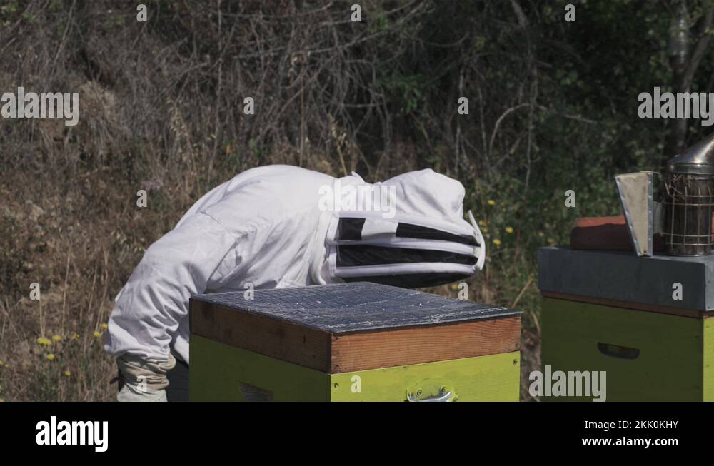 Part open top Stock Videos & Footage - HD and 4K Video Clips - Alamy