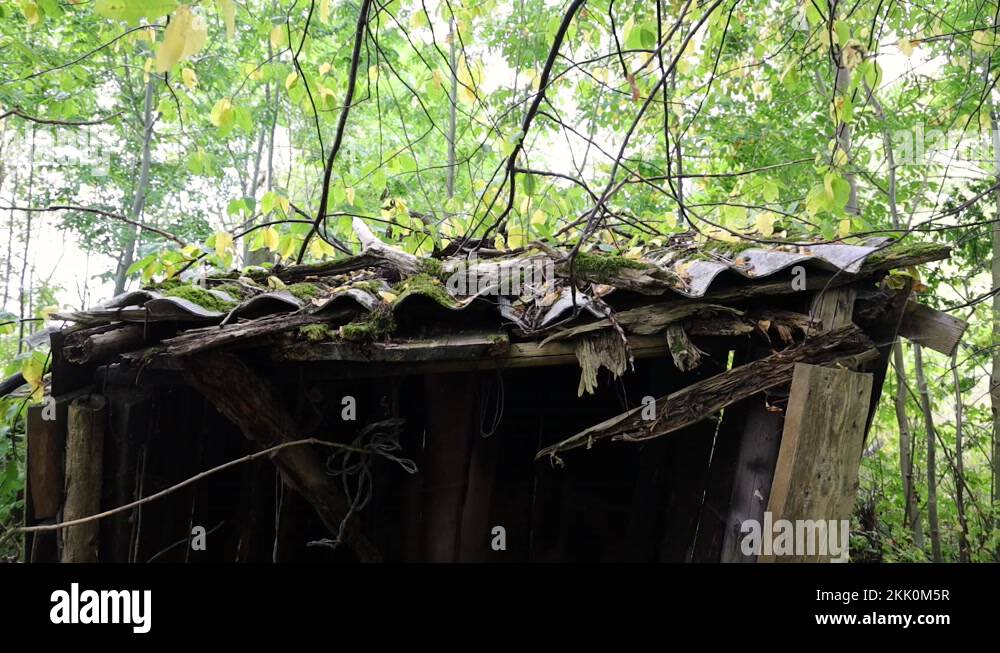 Broken down shed Stock Videos & Footage - HD and 4K Video Clips - Alamy