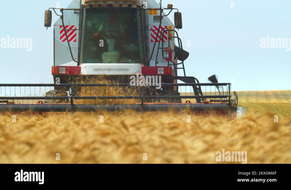 Wheat cutting Stock Videos & Footage - HD and 4K Video Clips - Alamy