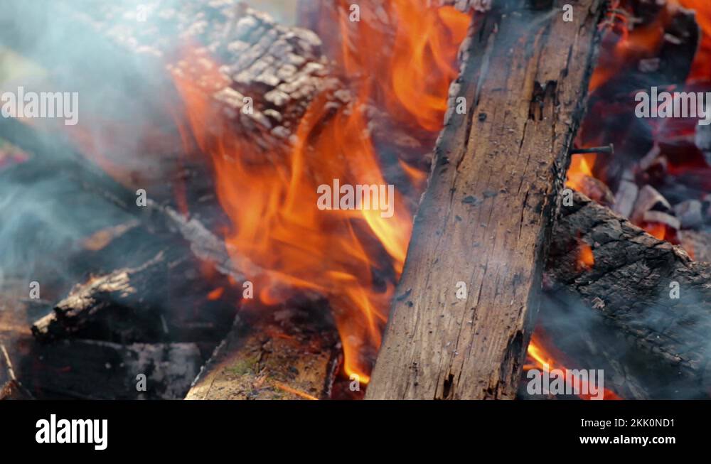 Loss of wood Stock Videos & Footage - HD and 4K Video Clips - Alamy