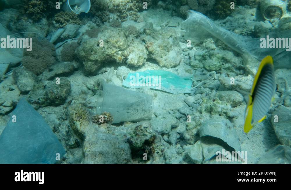Seabed covered plastic and other trash, a tropical fish of various ...