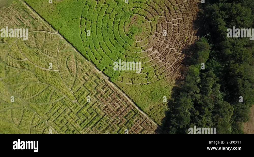 Aerial view corn maze Stock Videos & Footage - HD and 4K Video Clips ...