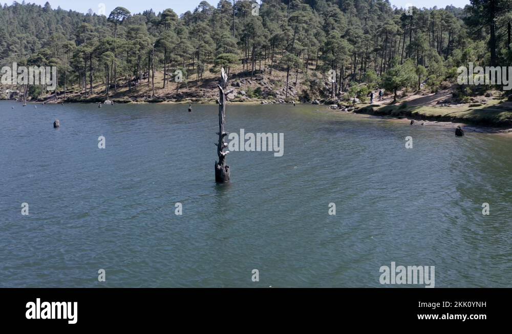 Vertical upright Stock Videos & Footage - HD and 4K Video Clips - Alamy