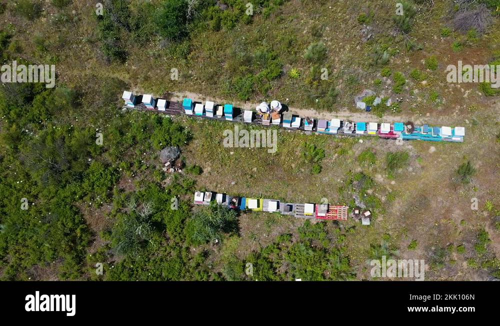 Mobile beehive Stock Videos & Footage - HD and 4K Video Clips - Alamy