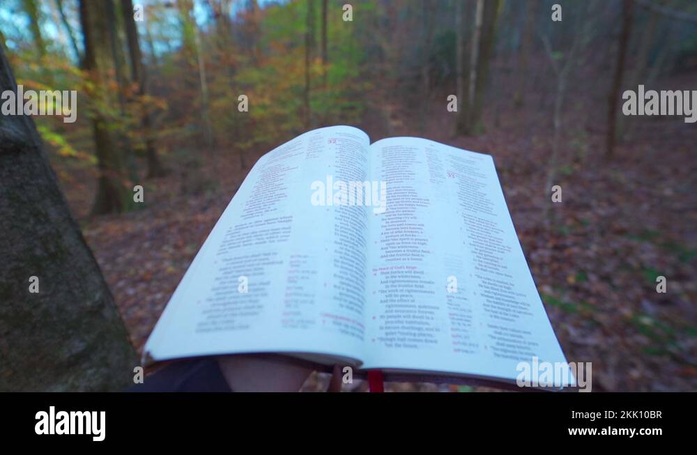 Holy nature Stock Videos & Footage - HD and 4K Video Clips - Alamy