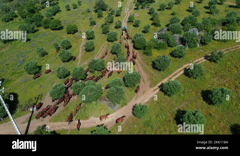 Aerial view of Coudelaria de Alter, a stud farm breeding horses Stock ...
