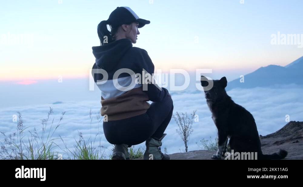 Volcano dog Stock Videos & Footage - HD and 4K Video Clips - Alamy