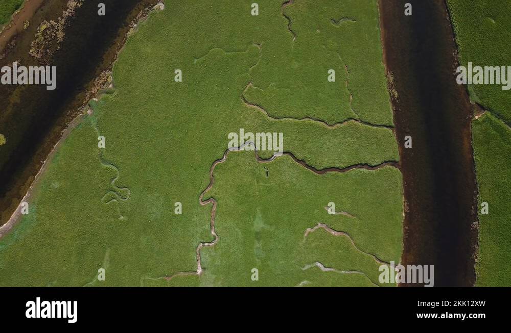 Estuary delta Stock Videos & Footage - HD and 4K Video Clips - Alamy