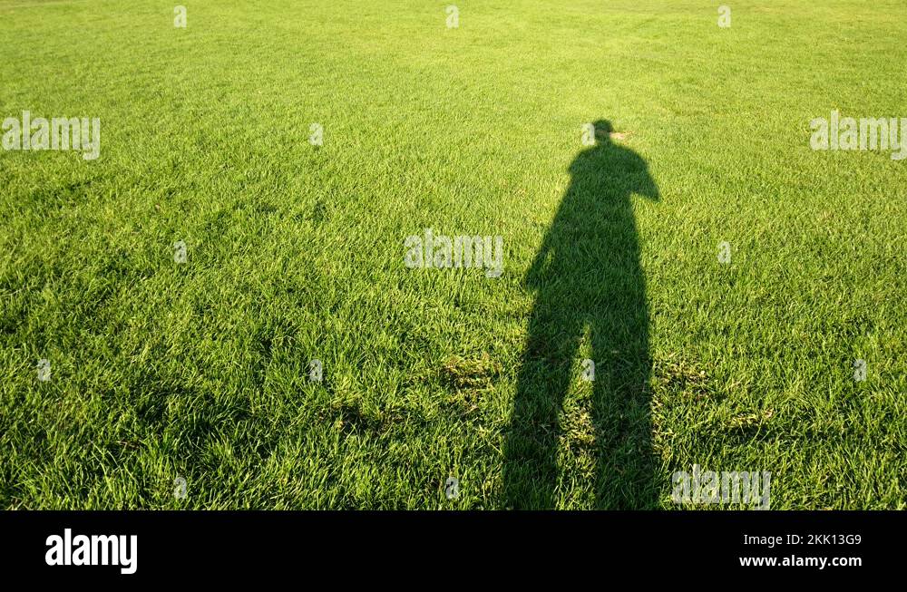 Shadow man grass Stock Videos & Footage - HD and 4K Video Clips - Alamy