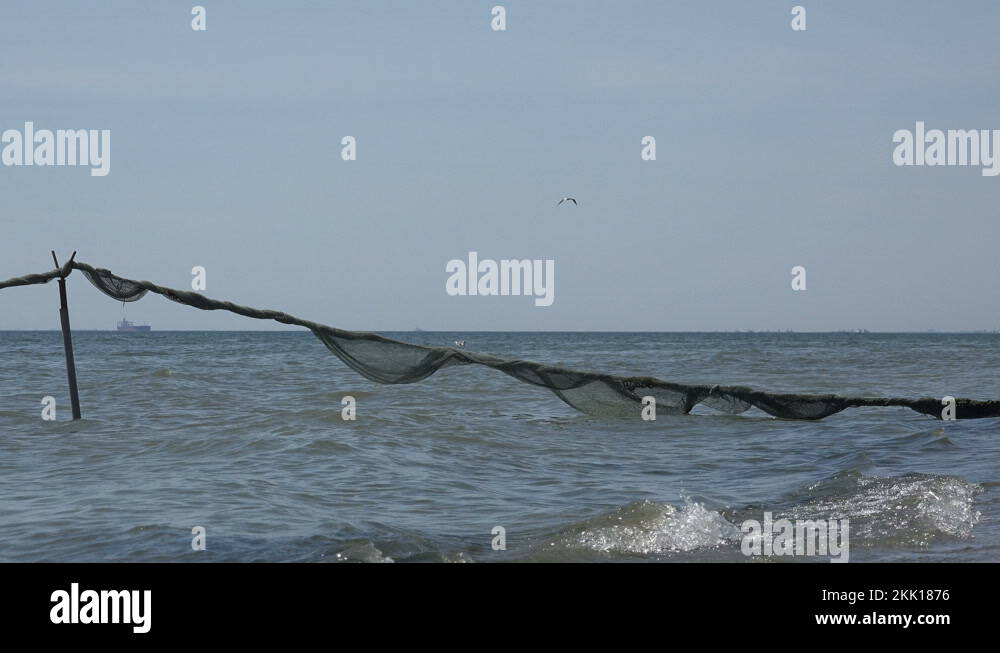 Hanging fishing nets Stock Videos & Footage - HD and 4K Video Clips - Alamy