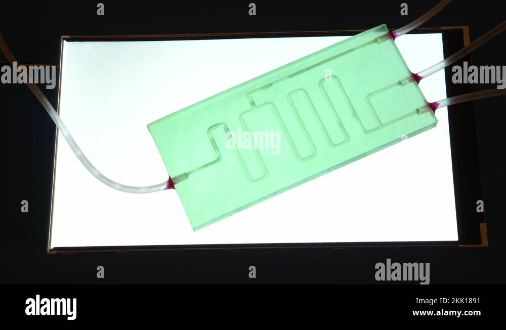 Organ-on-a-chip (OOC) - microfluidic device chip that simulates ...