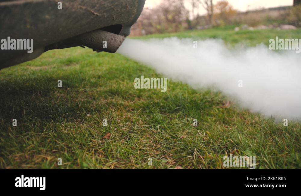 Exhaust gases from the muffler of the car. Close-up. White smoke. The ...