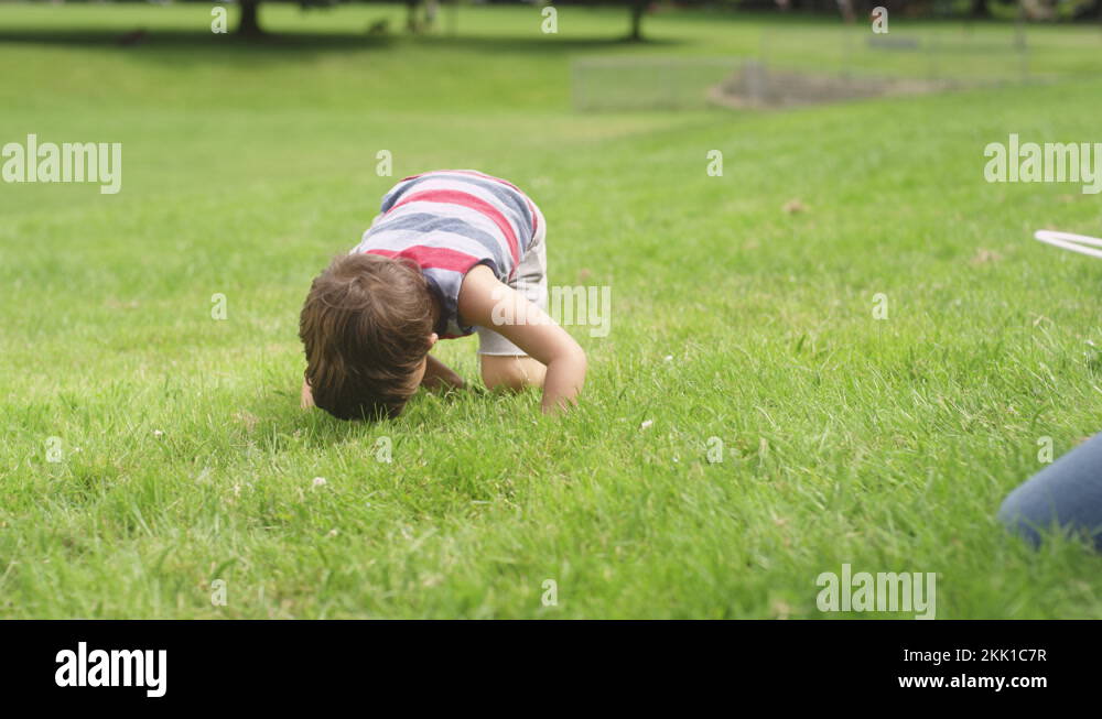 Young boy sitting on grass Stock Videos & Footage - HD and 4K Video ...