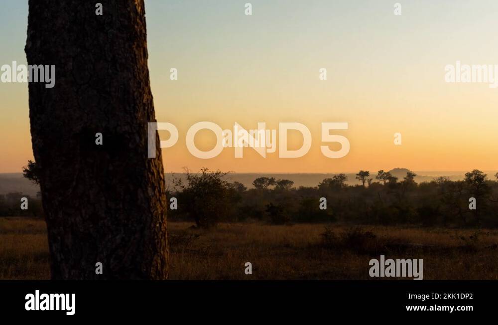 African bushveld landscape Stock Videos & Footage - HD and 4K Video ...