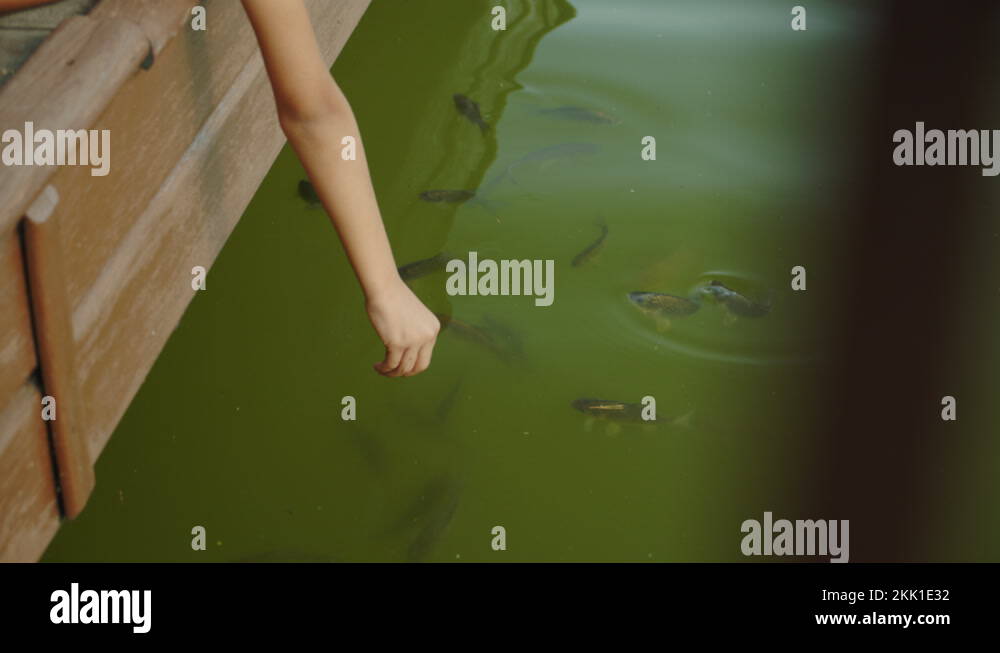 Child touching water Stock Videos & Footage - HD and 4K Video Clips - Alamy