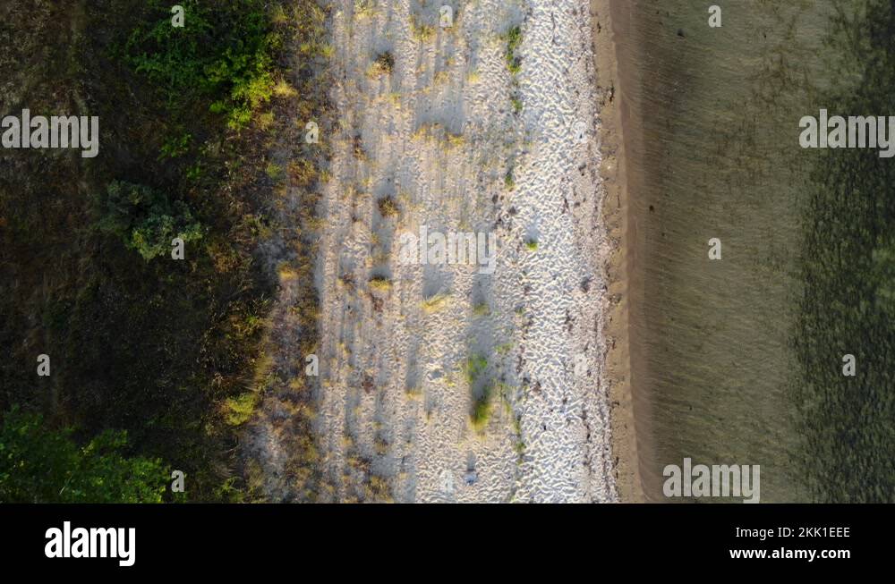 Bird flight line Stock Videos & Footage - HD and 4K Video Clips - Alamy