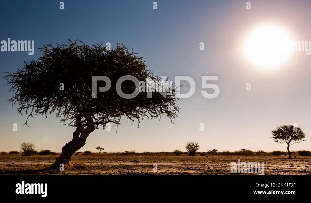 Open african landscape Stock Videos & Footage - HD and 4K Video Clips ...