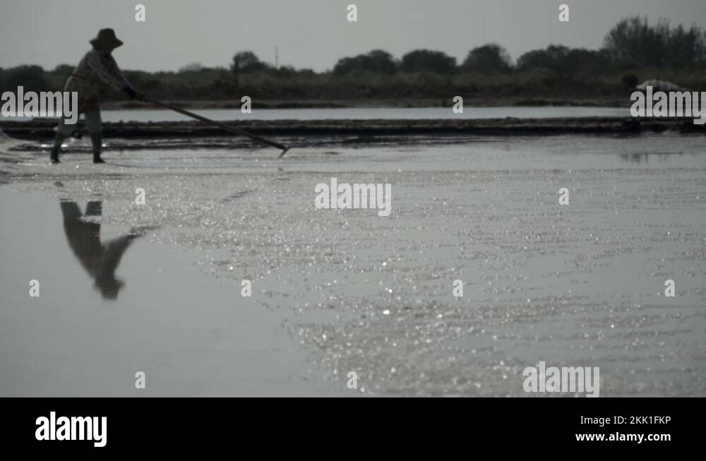 Salt farmers Stock Videos & Footage - HD and 4K Video Clips - Alamy