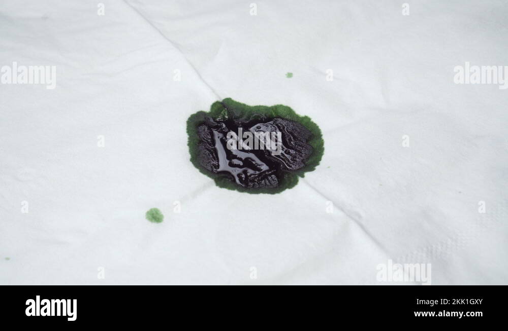 Algae paper Stock Videos & Footage - HD and 4K Video Clips - Alamy