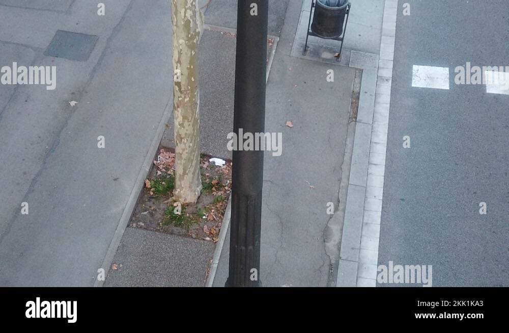 Diagonal alley Stock Videos & Footage - HD and 4K Video Clips - Alamy