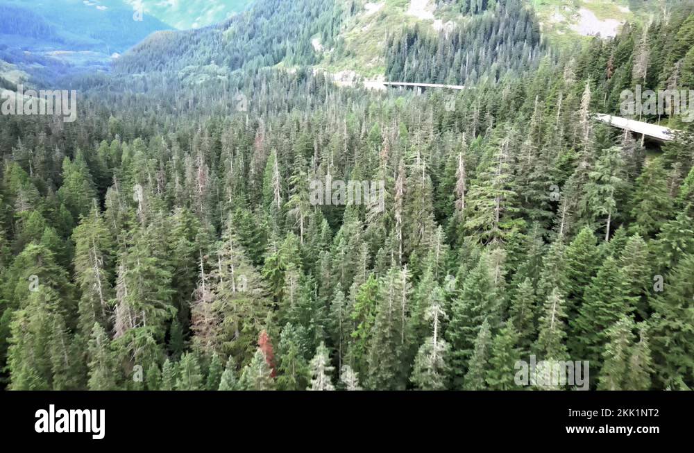 Snakes pass Stock Videos & Footage - HD and 4K Video Clips - Alamy