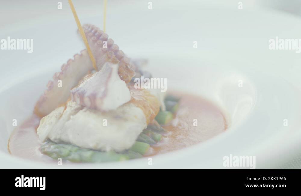 Squid octopus Stock Videos & Footage - HD and 4K Video Clips - Alamy