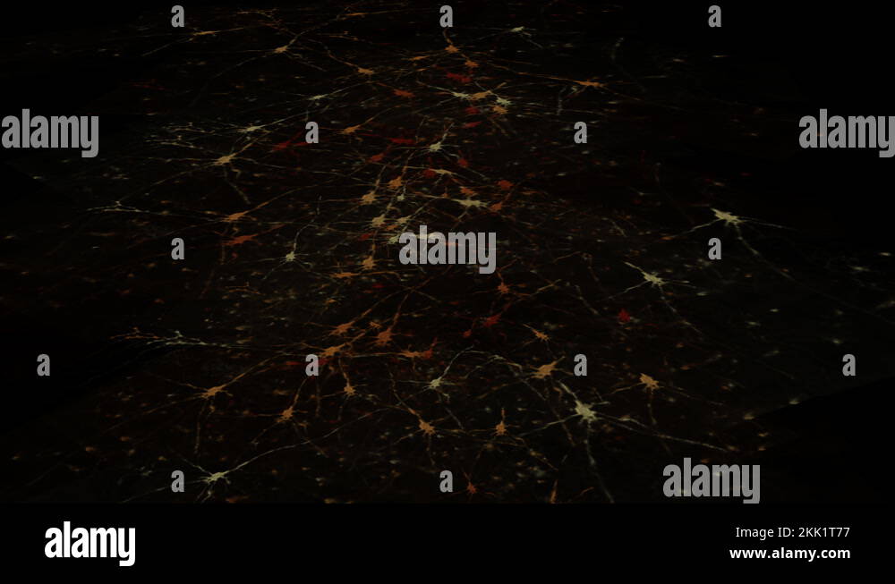 Neural pathway Stock Videos & Footage - HD and 4K Video Clips - Alamy