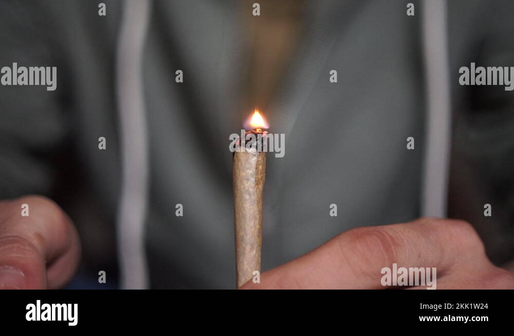 Hash joint Stock Videos & Footage - HD and 4K Video Clips - Alamy