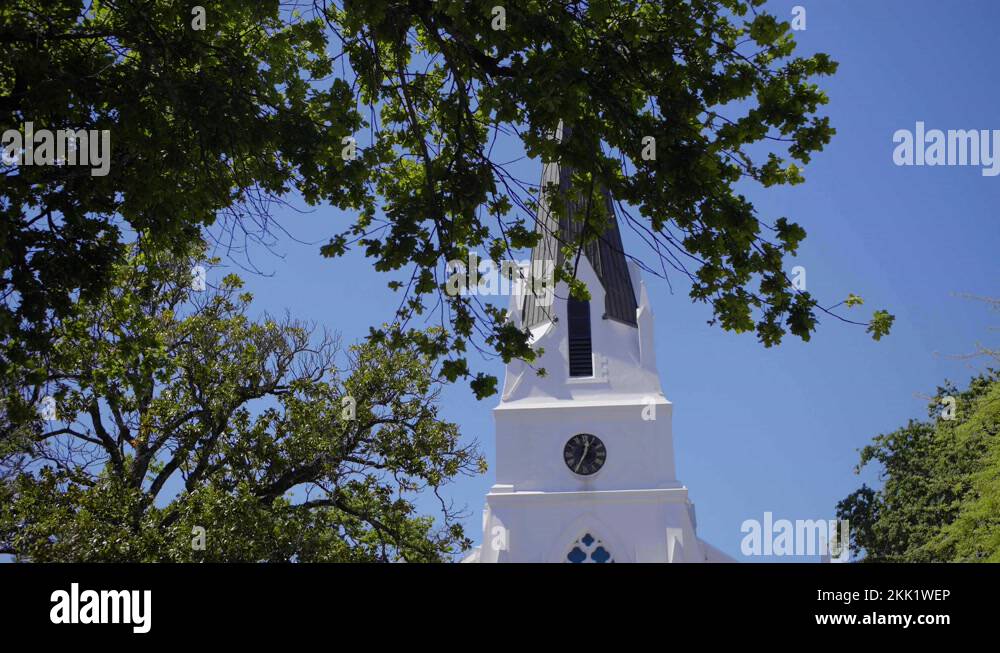 Traditional Cape Dutch Church tower appearing through oak trees in ...