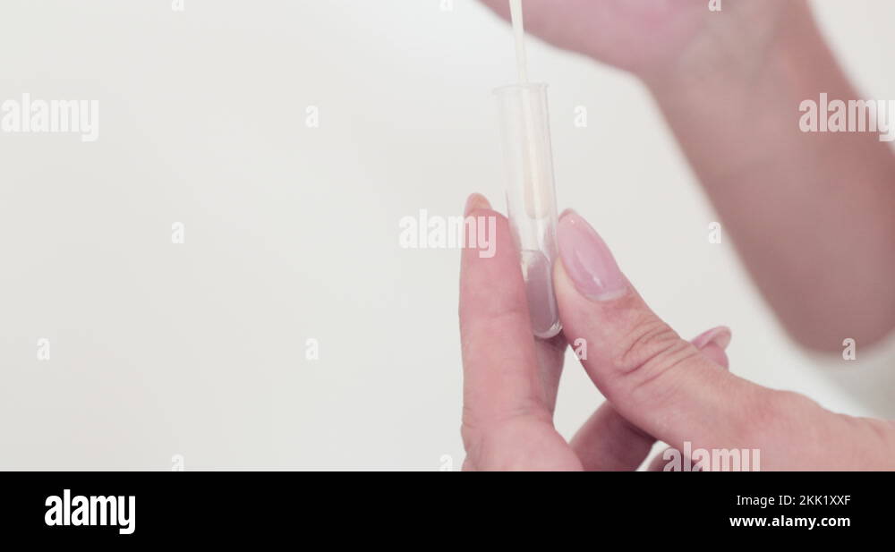 Hands Inserting The Swab Specimen Sample In A Clear Transport Tube ...