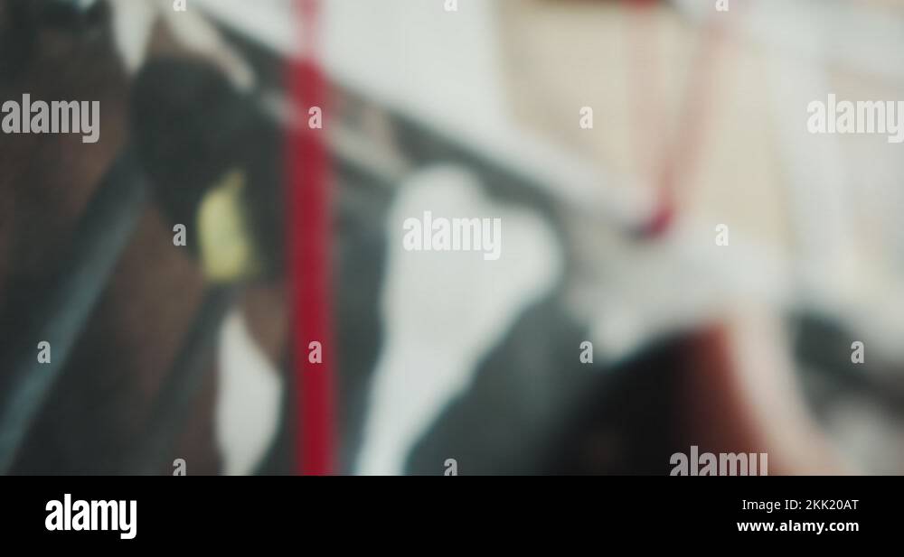 Hint board Stock Videos & Footage - HD and 4K Video Clips - Alamy