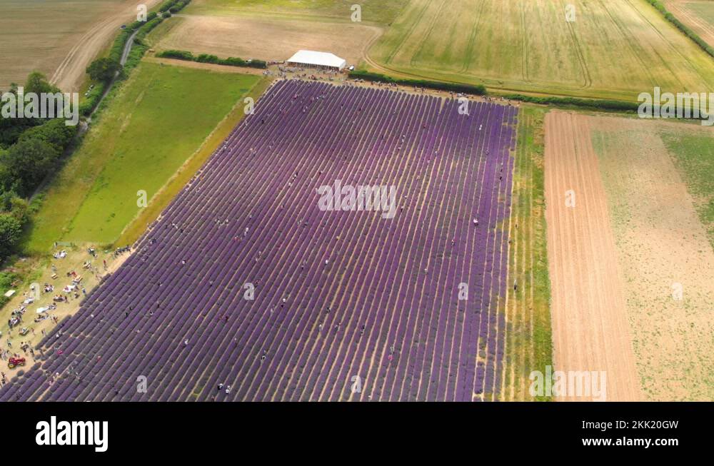 Established 2002 Stock Videos & Footage - HD and 4K Video Clips - Alamy