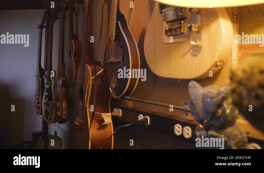Assorted guitar instruments hanging from a studio wall with a power ...