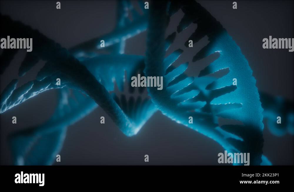 loop double helical structure of dna strand close-up animation Stock ...