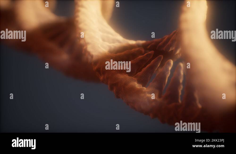 loopable structure of the DNA double helix animation Stock Video ...