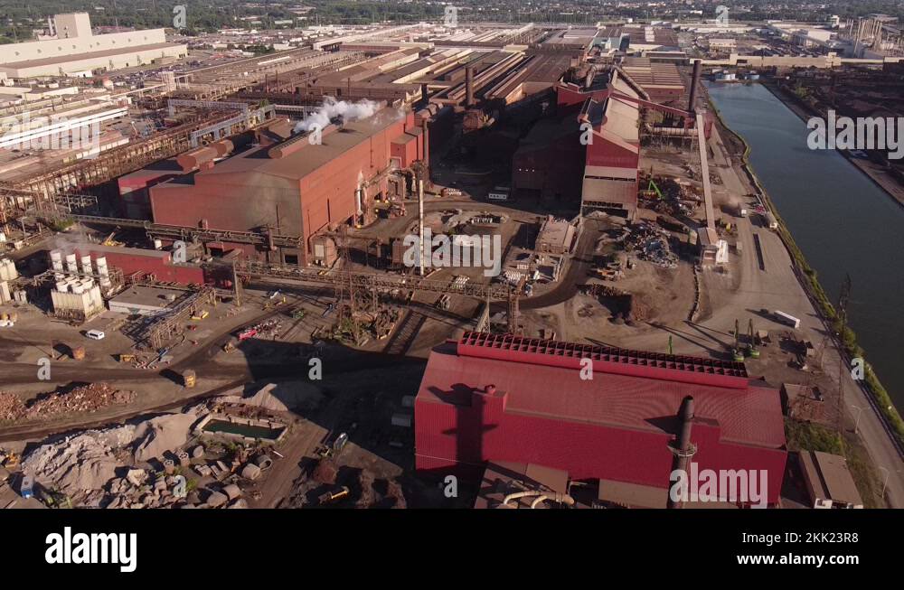 Caster plant Stock Videos & Footage - HD and 4K Video Clips - Alamy