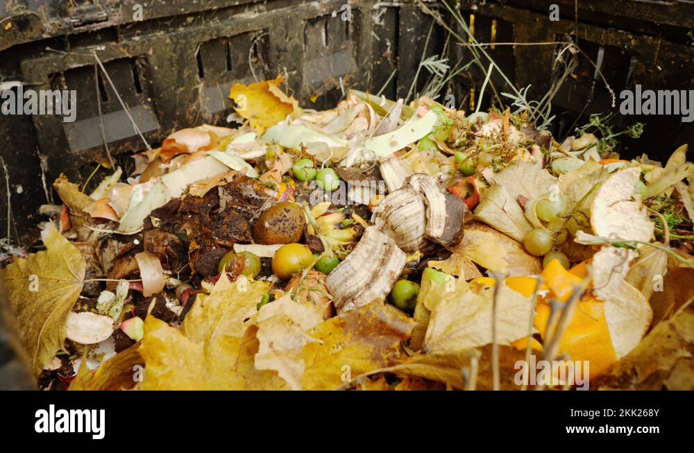 Composting bin Stock Videos & Footage - HD and 4K Video Clips - Alamy