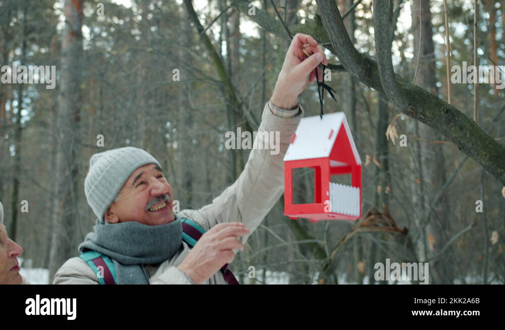 Old couple birds garden Stock Videos & Footage - HD and 4K Video Clips ...