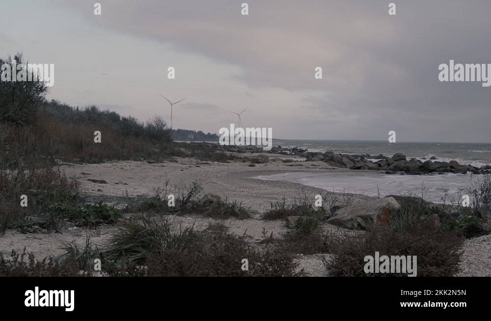 Seashore sea shore Stock Videos & Footage - HD and 4K Video Clips - Alamy