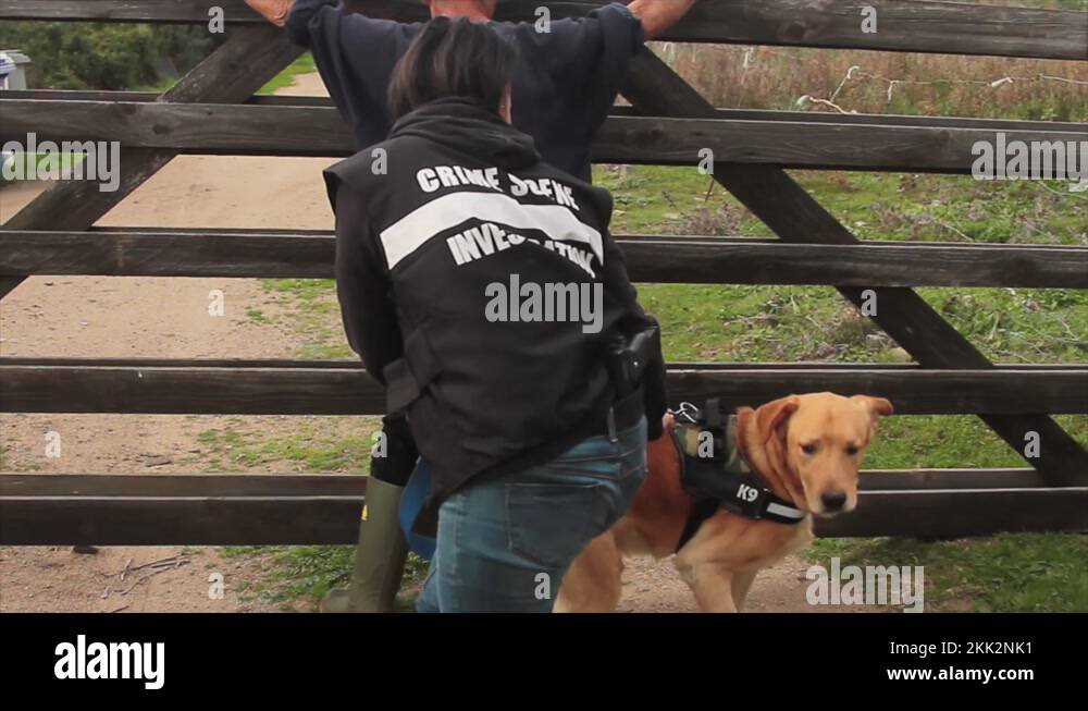 Drug detection dog Stock Videos & Footage - HD and 4K Video Clips - Alamy